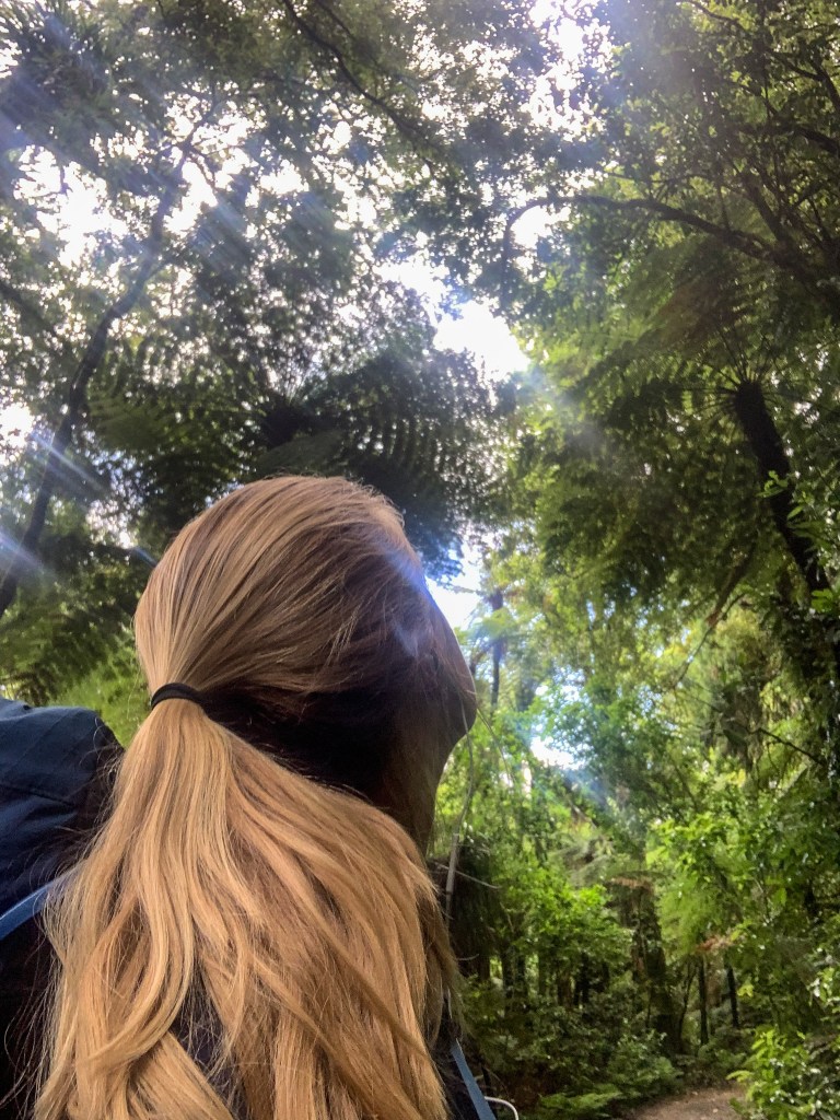 Pirongia Forest – GC Chronicles